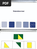 Wisc V Protocolo | PDF