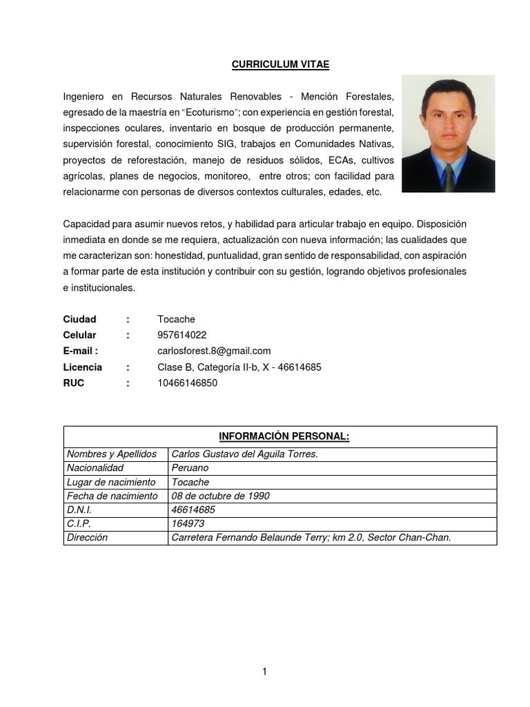 CV Carlos Gustavo del Águila Torres | PDF