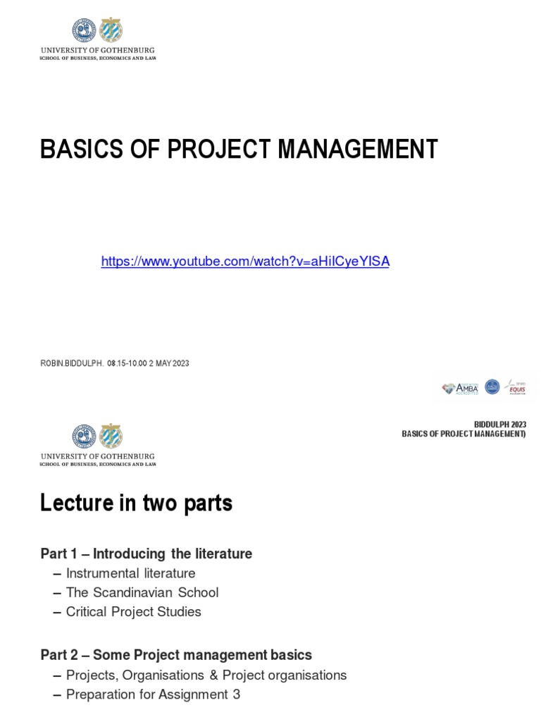 Project Management Basics | PDF