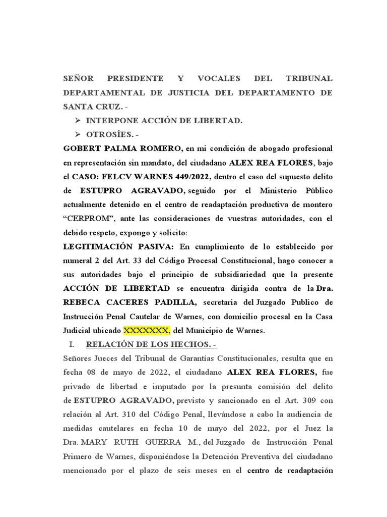 Accion de Libertad Caso Alex Rea | PDF | Debido al proceso | Mandato