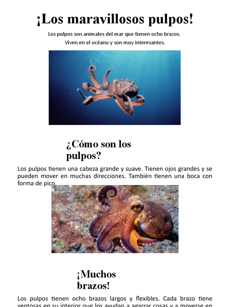 Pulpos | PDF