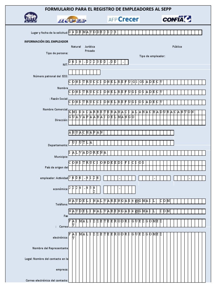 06 Formulario para El Registro de Empleadores Al SEPP | PDF ...