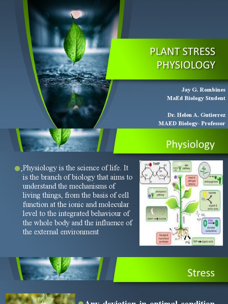 Plant Stress Physiology Overview | PDF | Wellness | Science & Mathematics