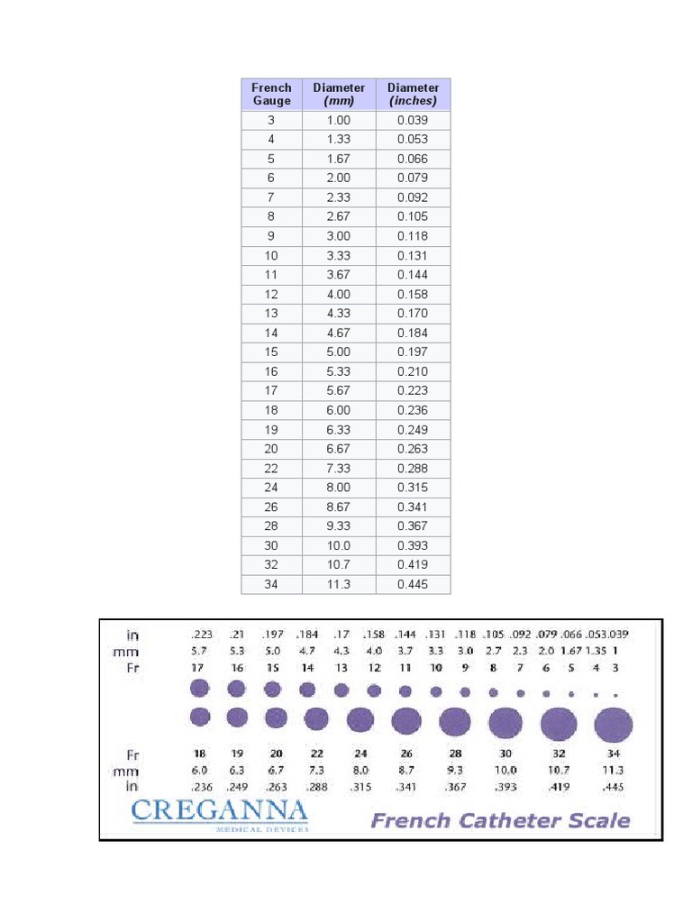 French Gauge Diameter Conversion Chart | PDF