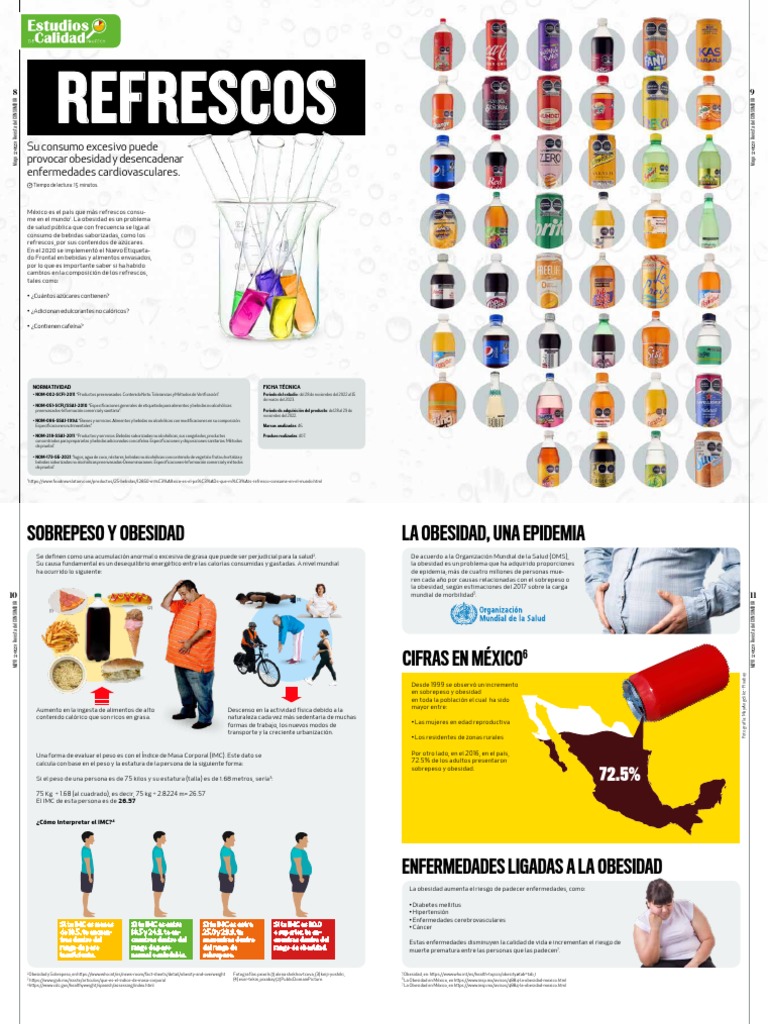 Estudio de Calidad Refrescos | PDF | Obesidad | Fructosa