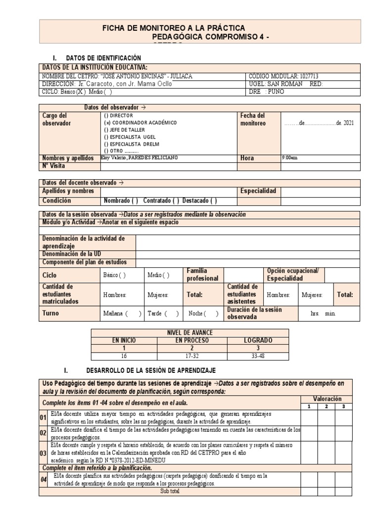 Monitoreo Práctica Pedagógica CETPRO | PDF | Evaluación | Maestros