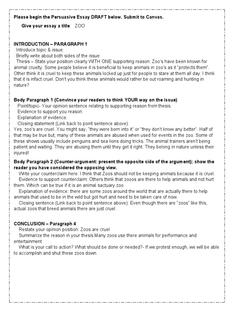 Persuasive Essay DRAFT | PDF