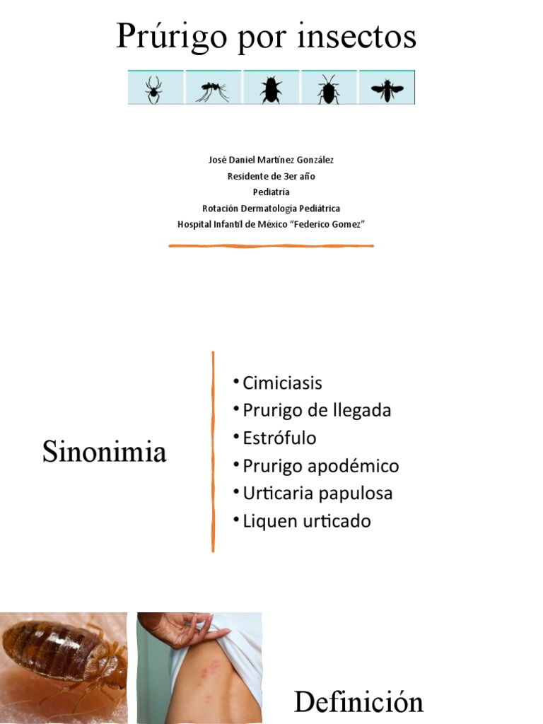 Prúrigo Por Insectos | PDF