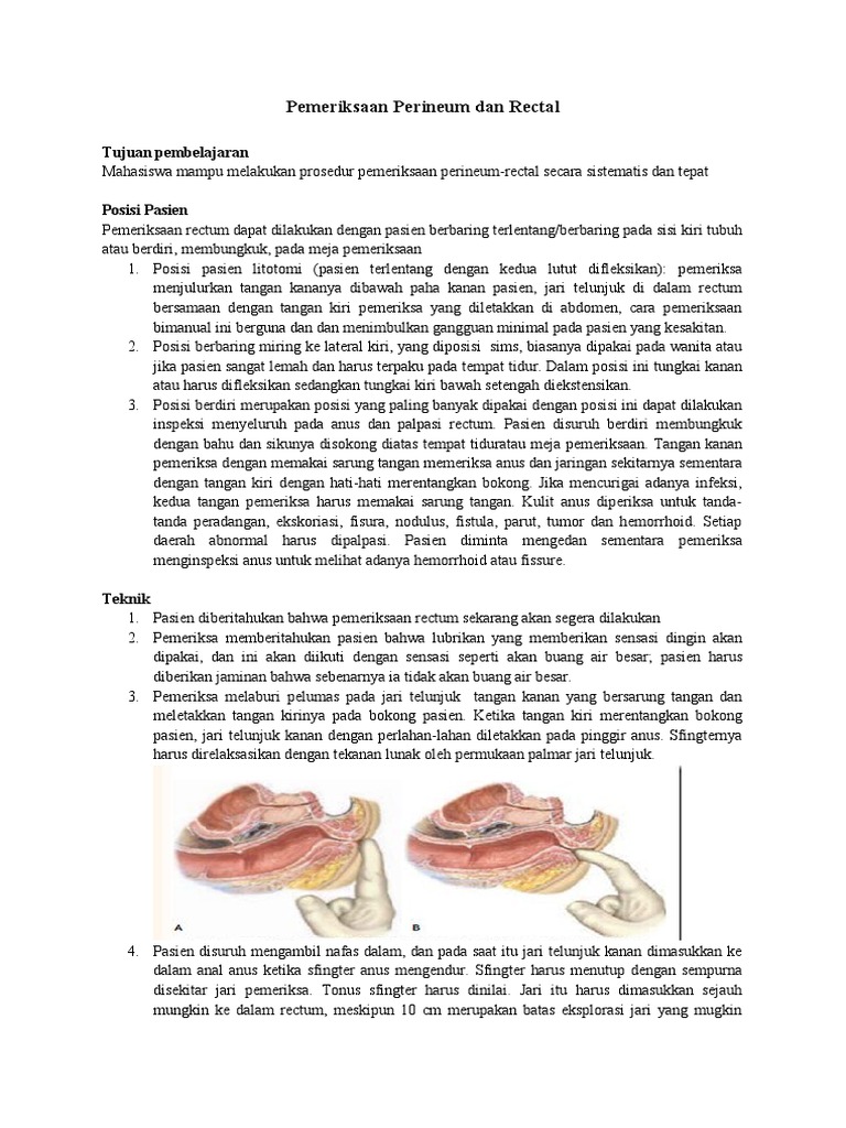 Pemeriksaan Perineum Dan Rectal | PDF