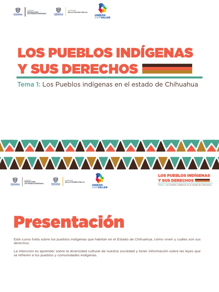 Pueblos Indígenas Y Sus Derechos Pdf