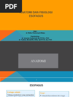 Anatomi Lengkap Esofagus | PDF