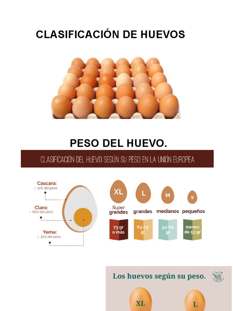 Clasificación de Huevos Concepcion | PDF | Salud y bienestar | Tecnología