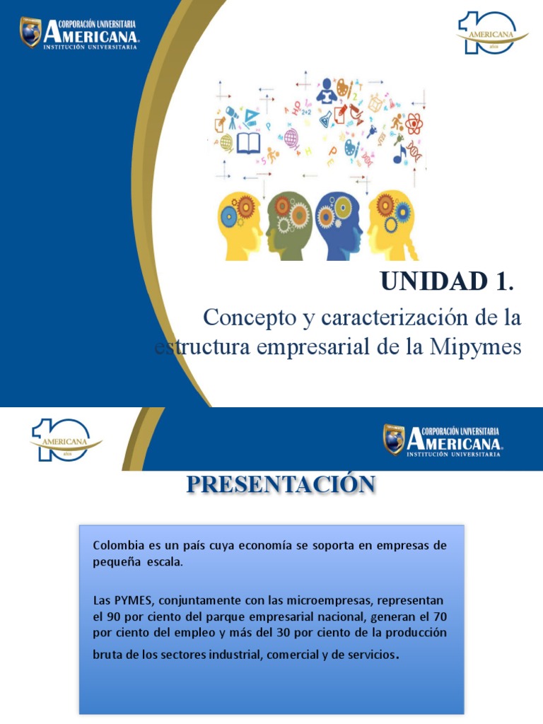 Concepto y Caracterización de La Estructura Empresarial Mipymes | PDF
