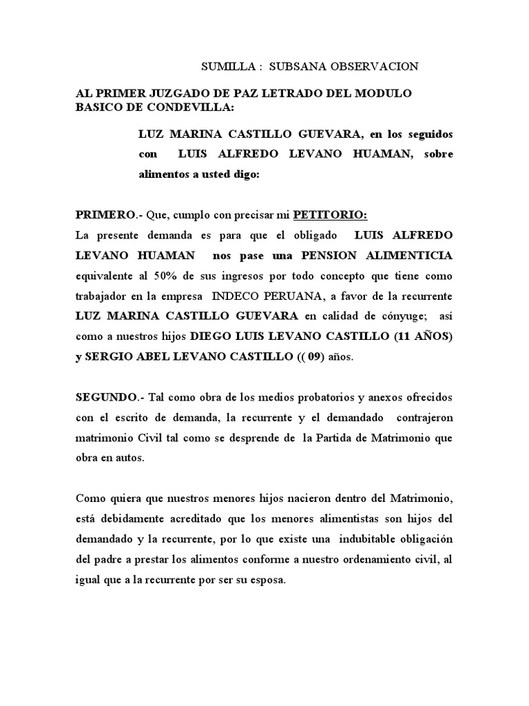 Subsana Observacion 1 | PDF