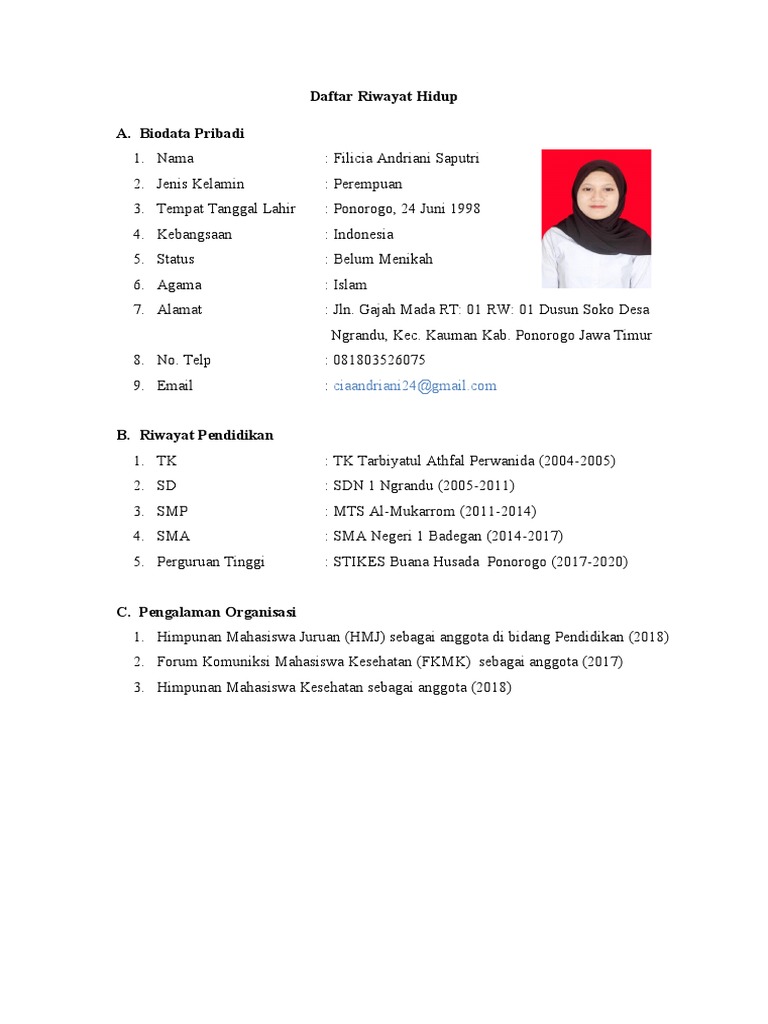 CV Riwayat Hidup | PDF
