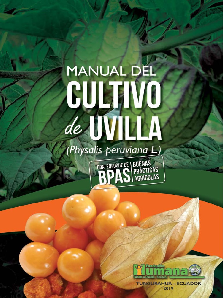 Manual de Uvilla Final | PDF | Agricultura | Fertilizante