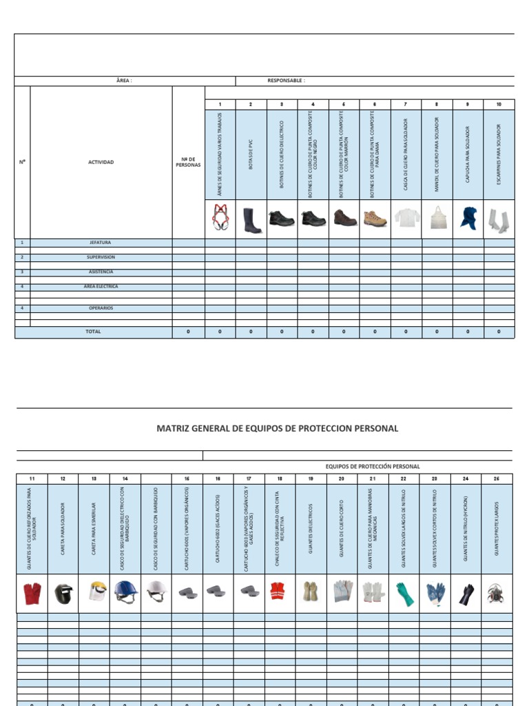 Matriz de Epp S | PDF