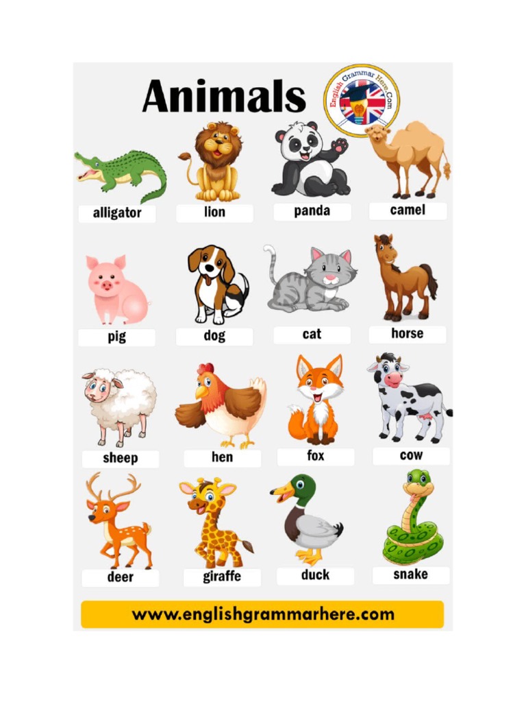 Animals For Kids | PDF