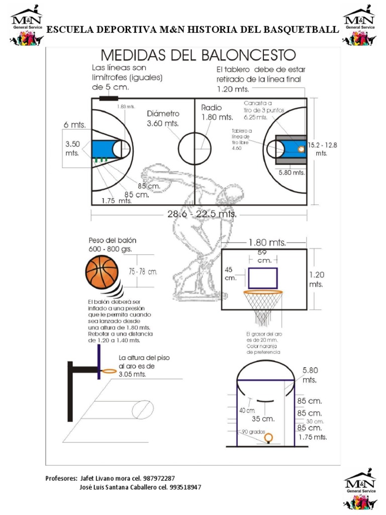 Fundamentos Tecnicos Del Baloncesto | Descargar gratis PDF | Pelota ...