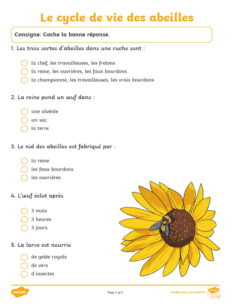 Quiz Le Cycle de Vie Des Abeilles | PDF