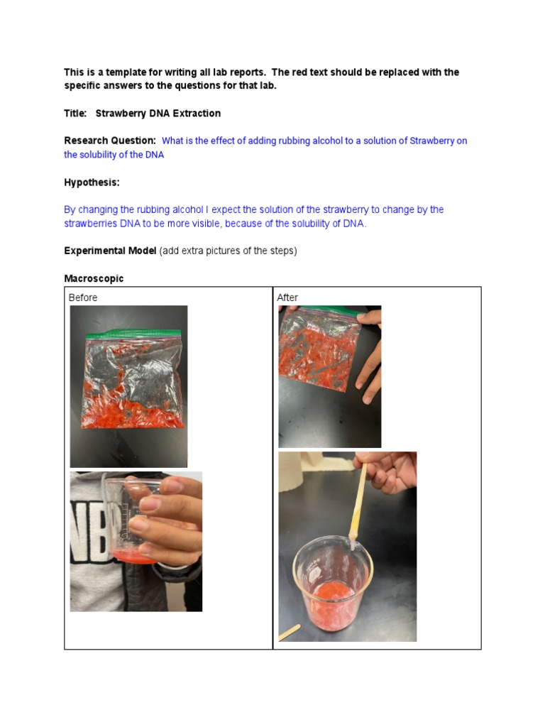 Lab #10 Strawberry DNA Extraction | PDF