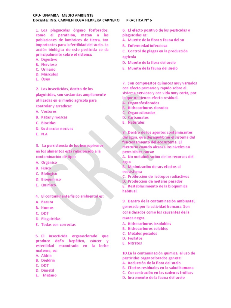 Práctica sobre Contaminación Ambiental | PDF