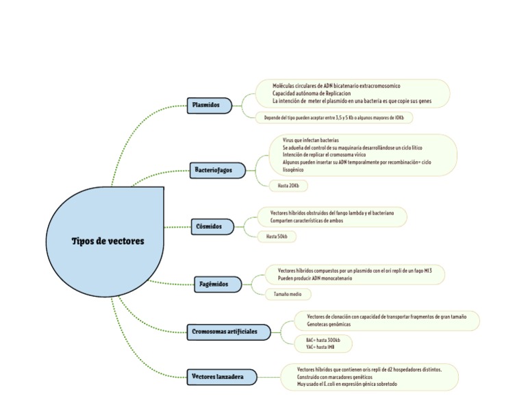 Tipos de Vectores | PDF