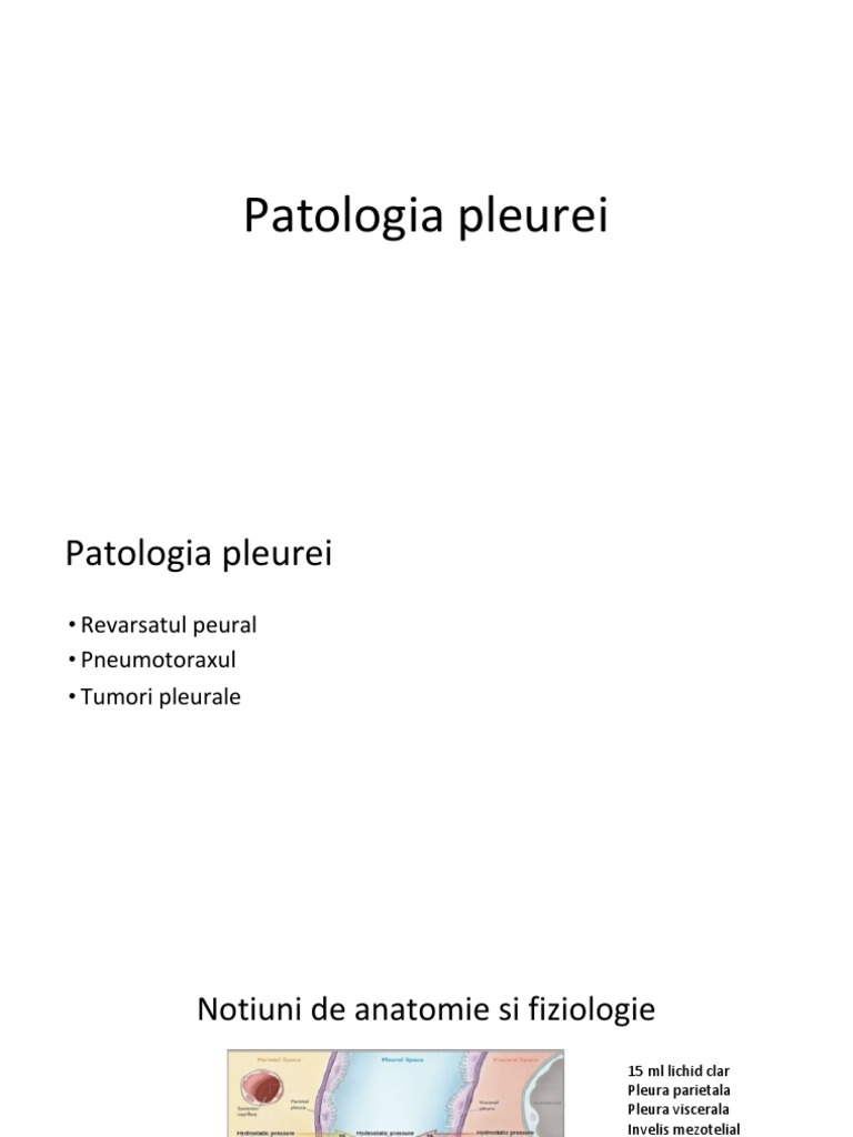 Pat Pleurala | PDF