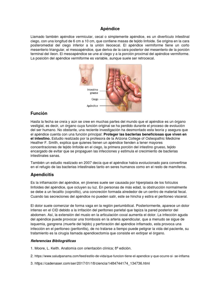 Clasificación de la Apendicitis | PDF | Ciencias sociales | Ciencia y ...