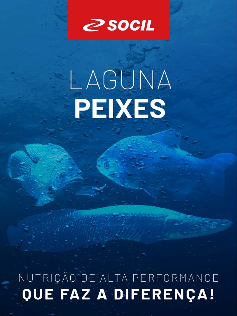 Soc Folder Socil Peixe Web Compactado | PDF