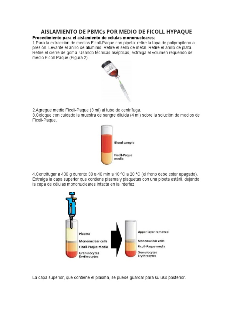 Aislamiento de PBMCs con Ficoll-Hypaque | PDF