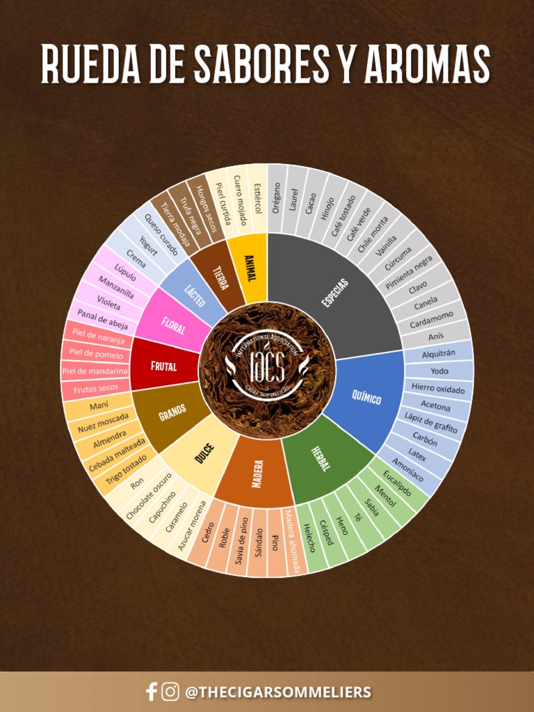 Guía de Sabores y Aromas de Puros | PDF