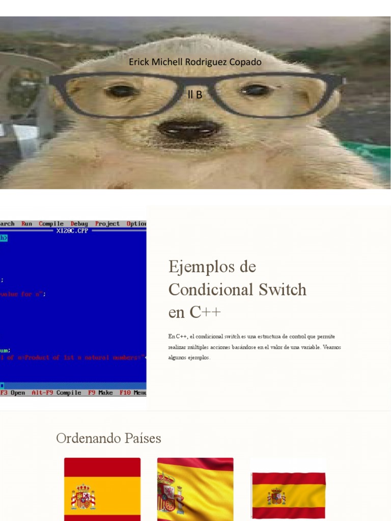 Ejemplos de Condicional Switch en C | PDF