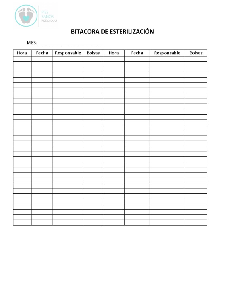 Bitacora de Esterilización | PDF