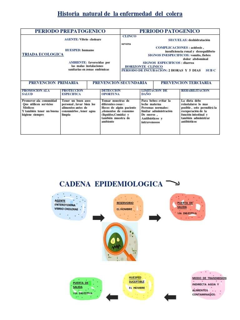 El Colera Documento 32 | PDF | Cólera | Diarrea