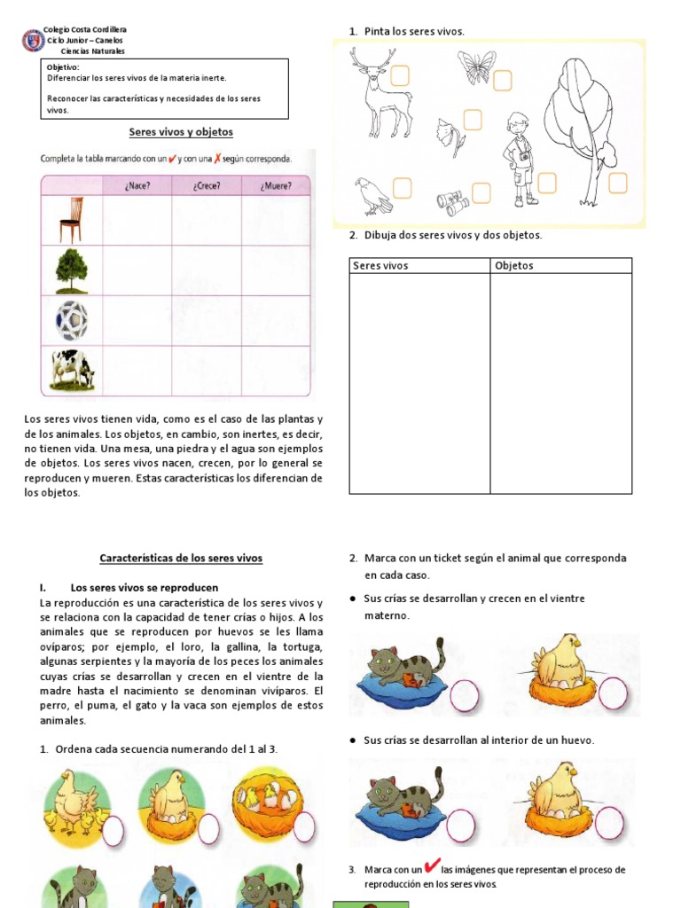 Los Seres Vivos y Objetos | PDF