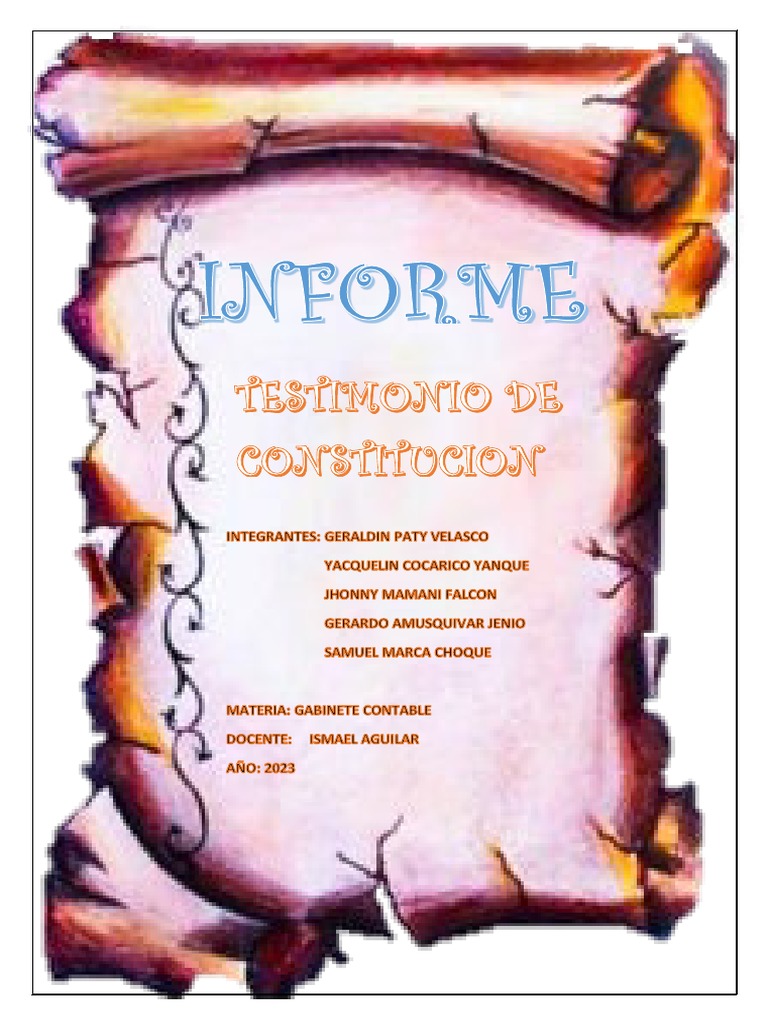 Informe Testimonio de Constitucion | PDF