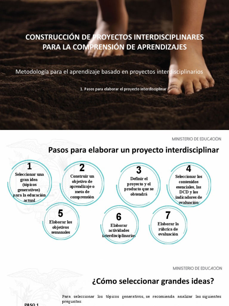 Pasos para Formar El Proyecto Interdisciplinario | PDF