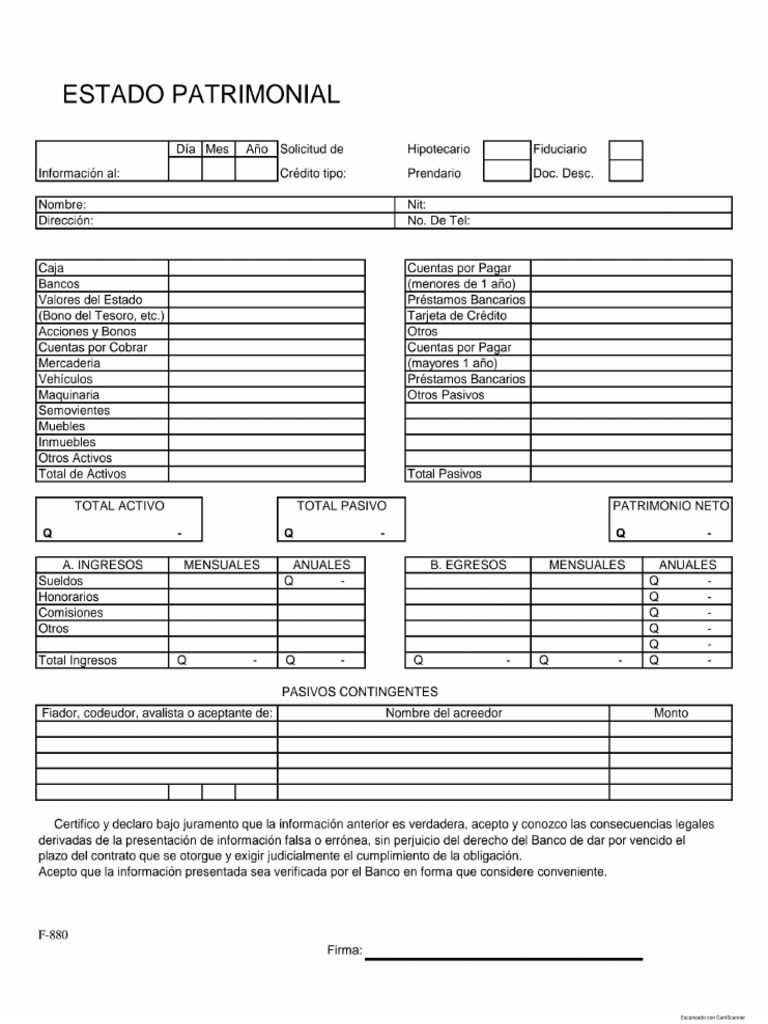 Formato Estado Patrimonial PDF | PDF