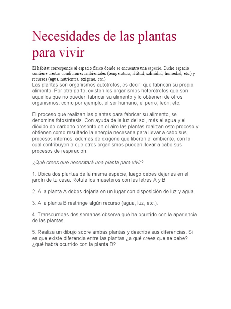 Necesidades de Las Plantas para Vivir | PDF