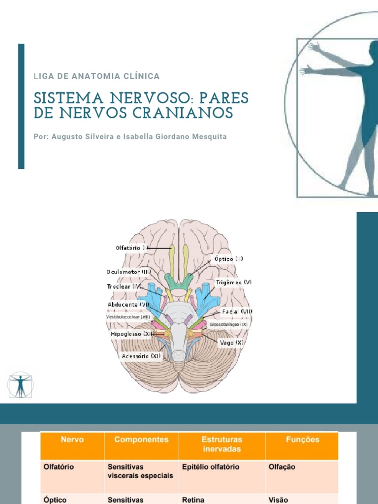 Pares de Nervos Cranianos | PDF