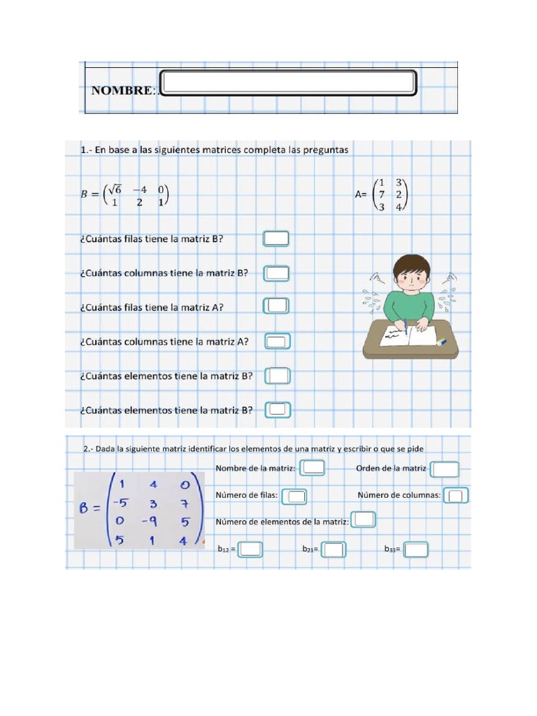 Matrices Prueba | PDF