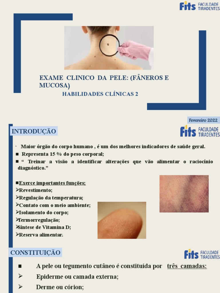 Aula Pele e Faneros 2022 | PDF | Ciências e Matemática