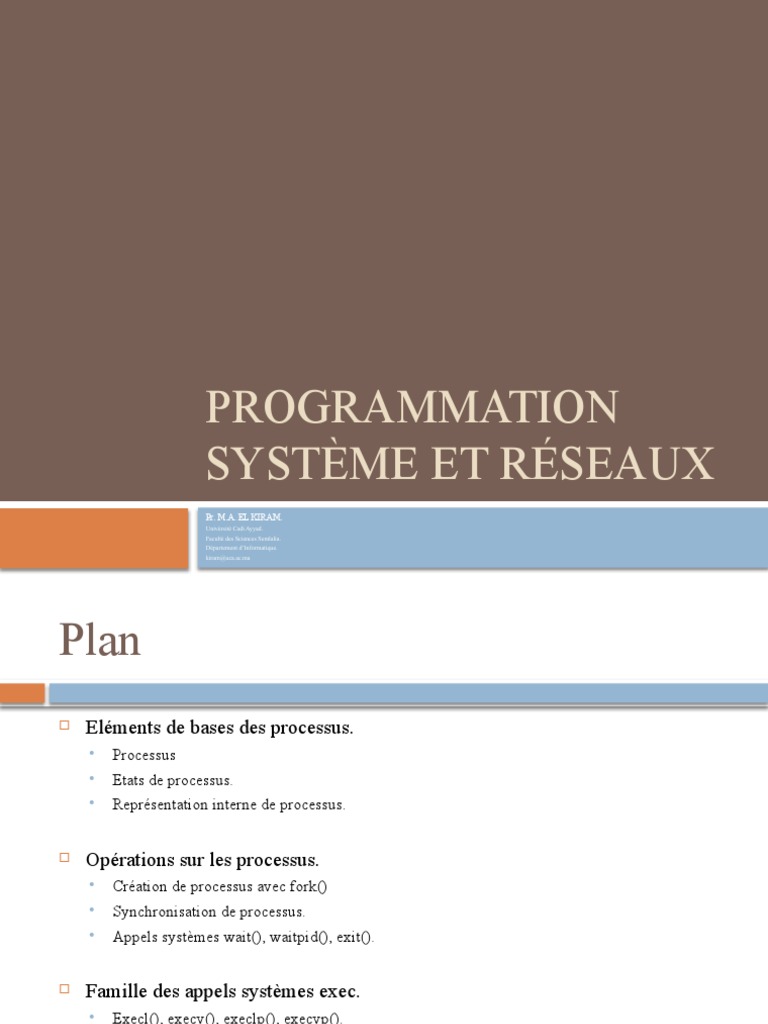 Programmation Système et Réseaux | PDF | Programmation | Programme ...