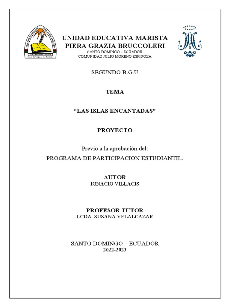 Proyecto PPE I.V | PDF