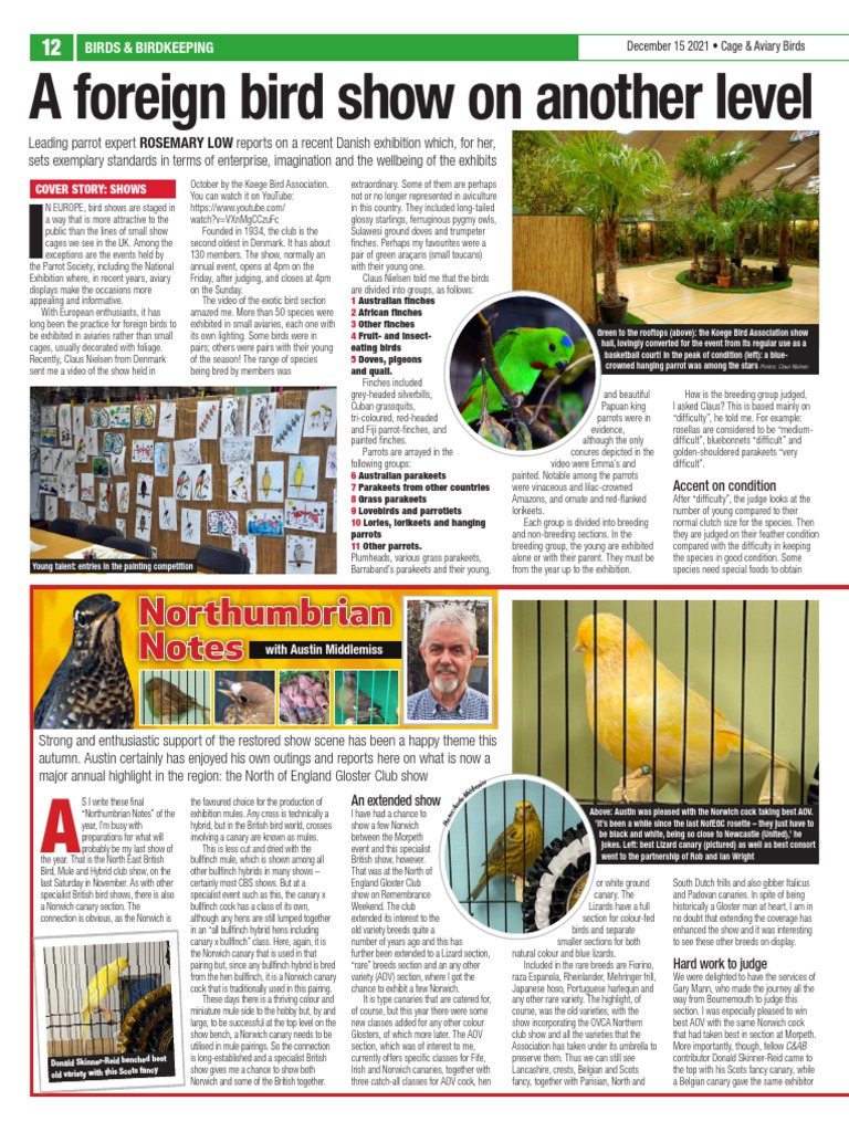 Cage Aviary Birds 1 | PDF