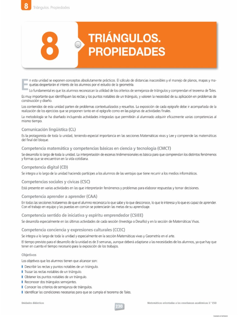 Tema-8-Guia Didactica Triangulos Propiedades | PDF