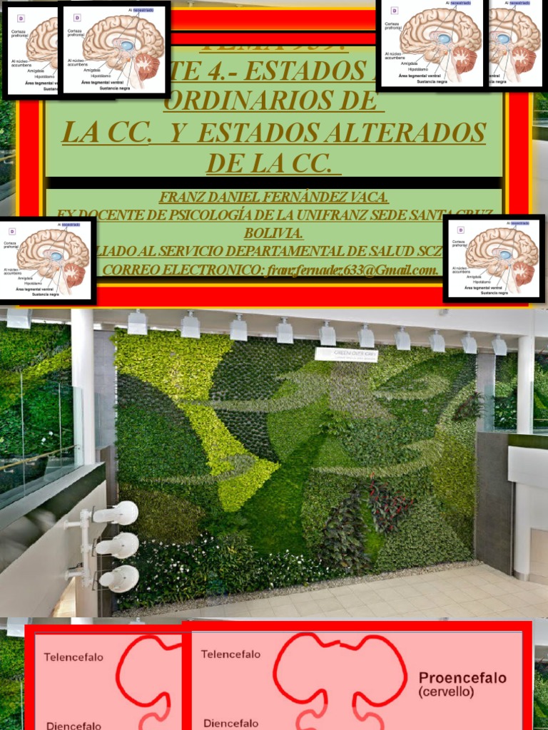 Tema 940. Parte 2. Sistema Activador Reticular Ascendente y El Sistema Inductor Del Sueño ...