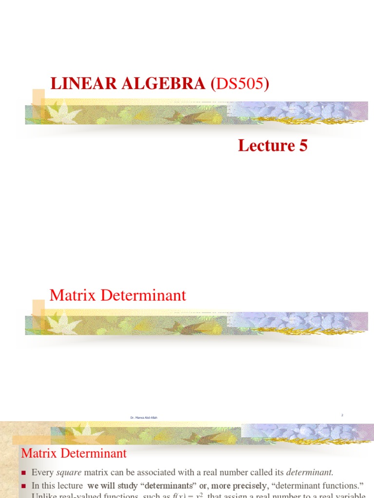 LINEAR - ALGEB.DS505 Lecture 5 | PDF