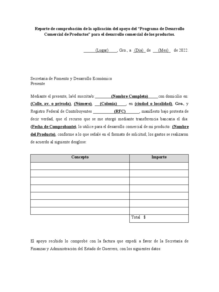 Formato Reporte de Comprobación | PDF